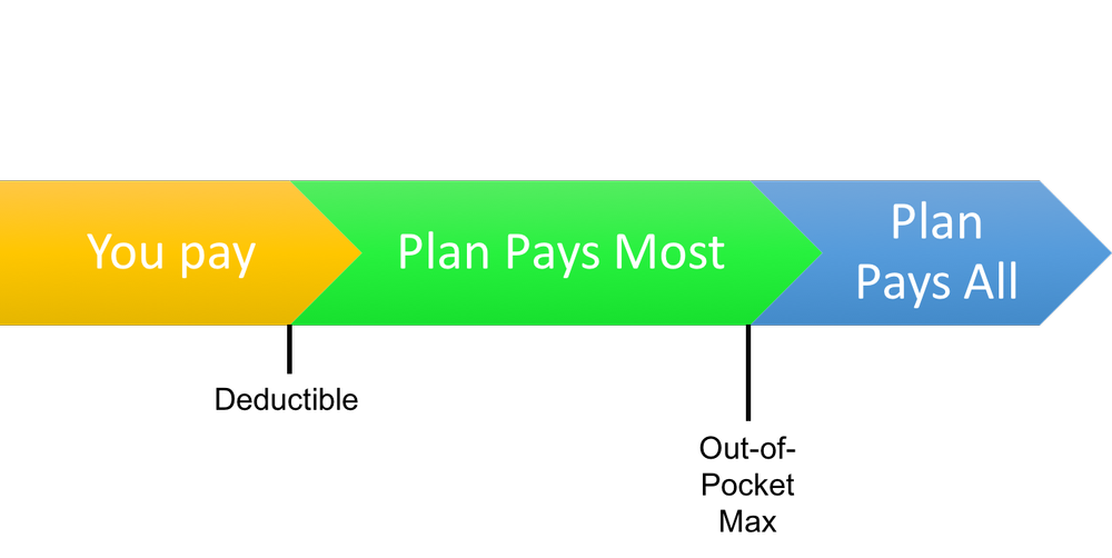 Benefits Basics — Specialized Benefits Hub