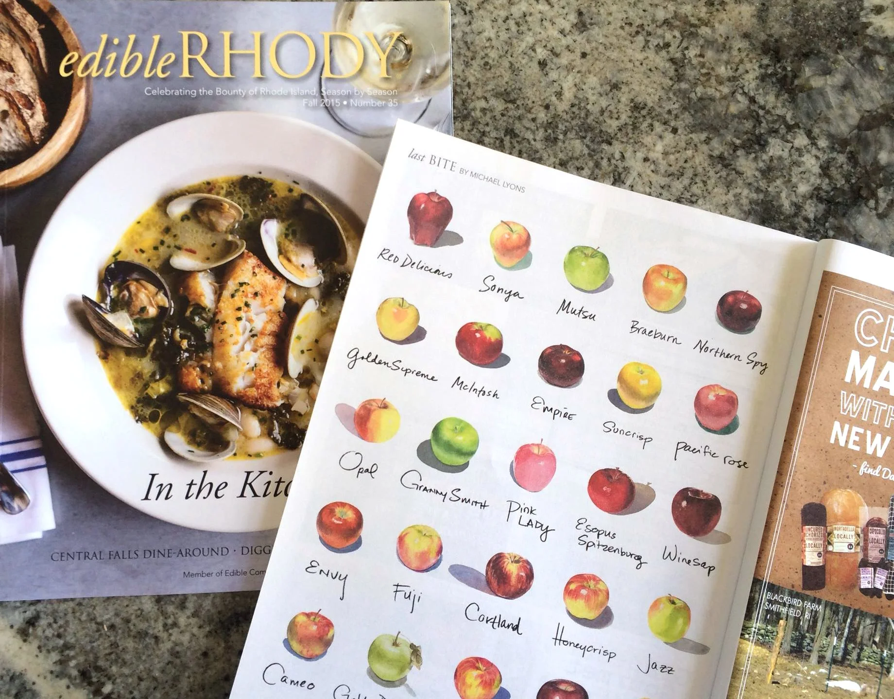 PUBLICATIONS — Michael Lyons Studio