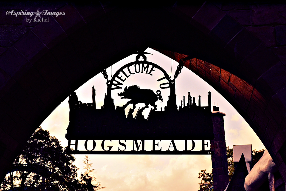 Hogsmeade Sign