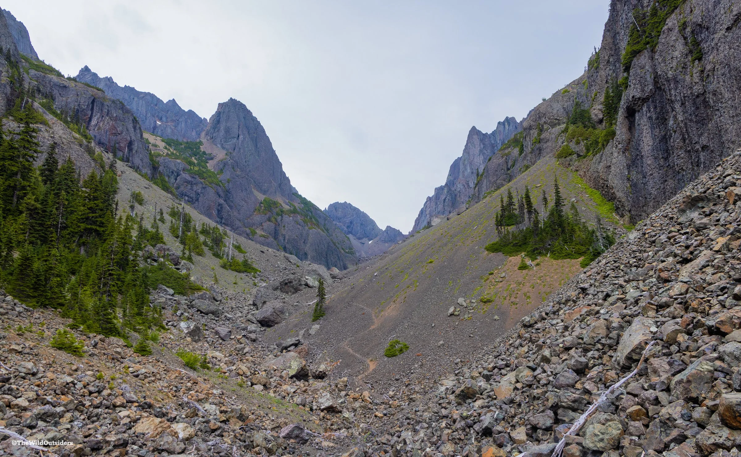 Climbing Mount Constance — The Wild Outsiders
