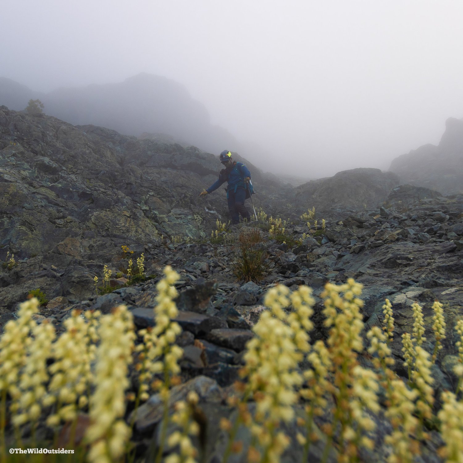 Mount Deception — The Wild Outsiders