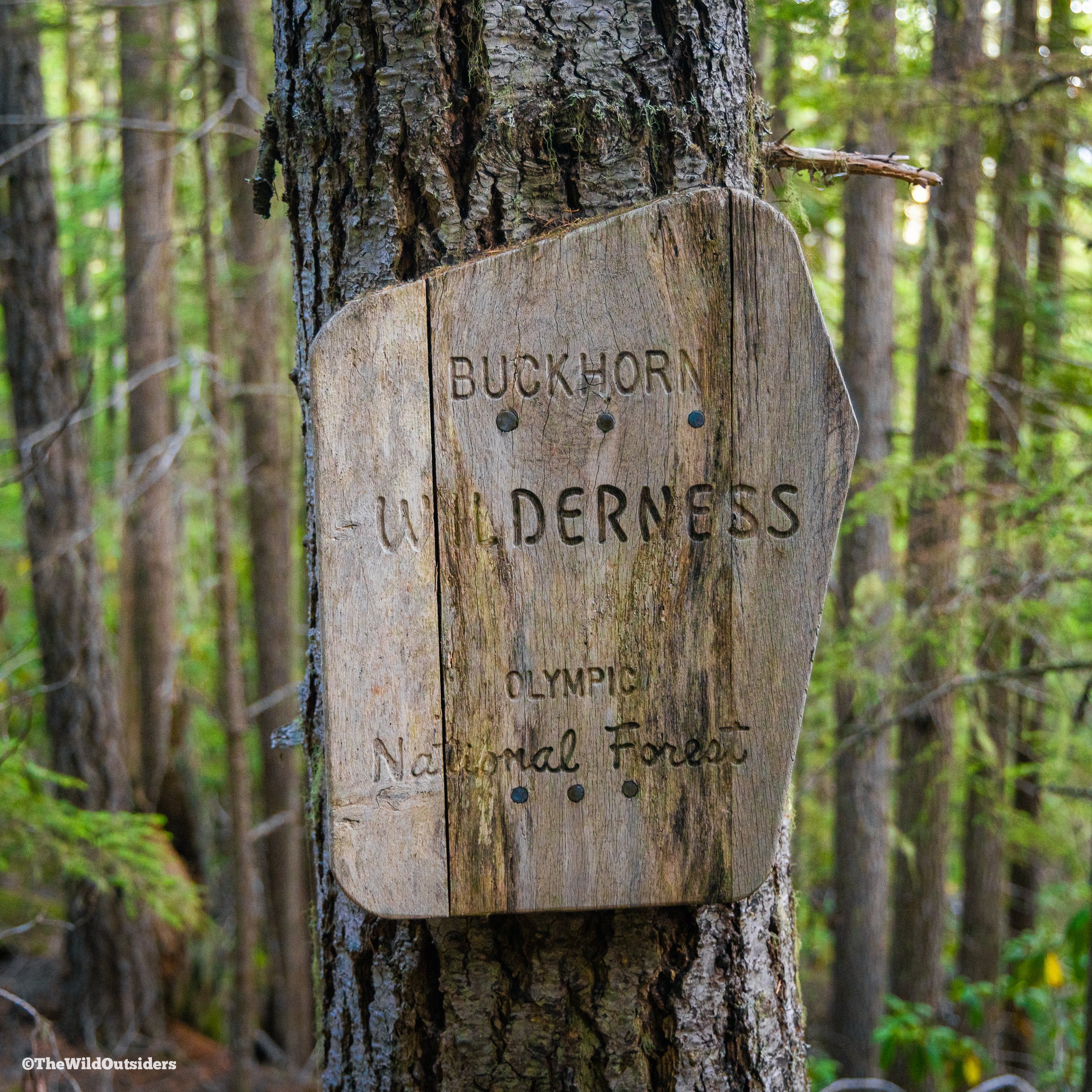 Iron Mountain & Worthington Peak in the Buckhorn Wilderness — The Wild ...
