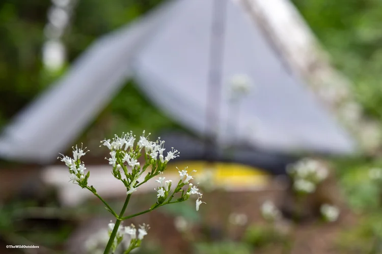 Climbing Mount Constance — The Wild Outsiders