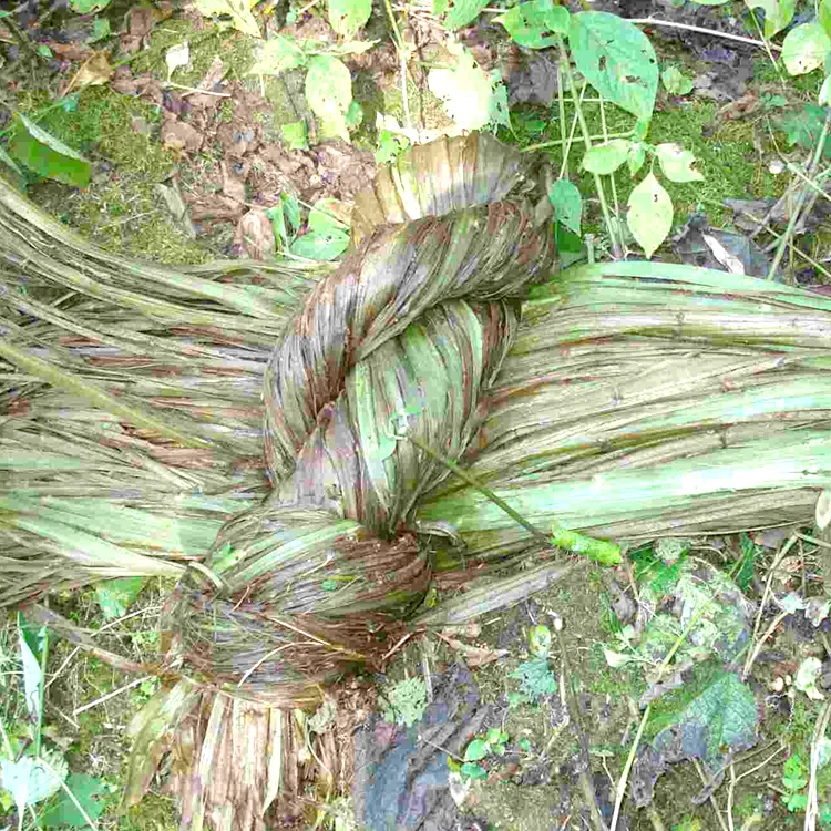Himalayan Wild Fibers
