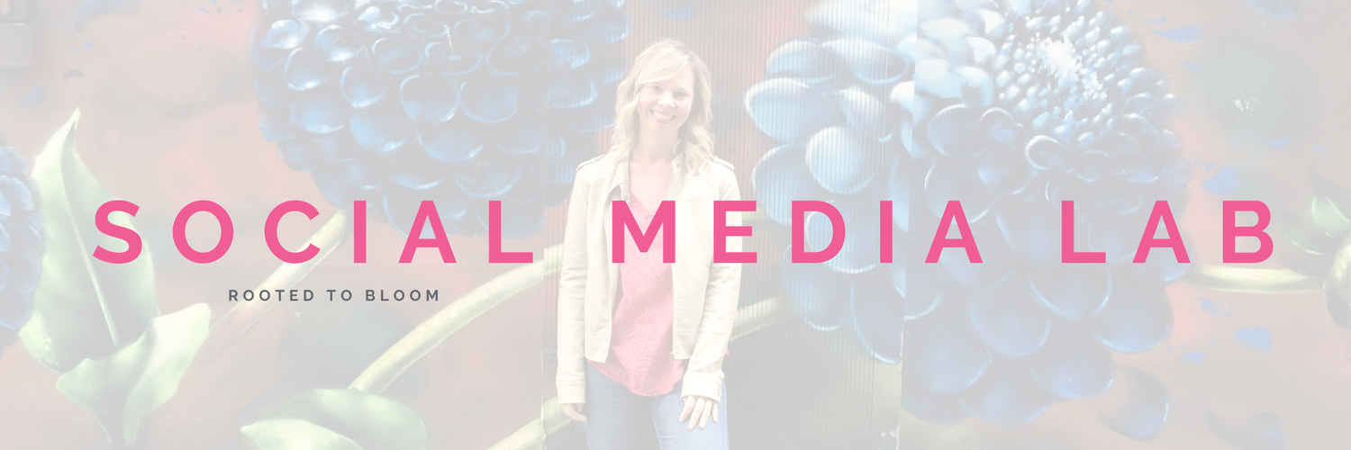 Social Media Lab — Amber Adrian