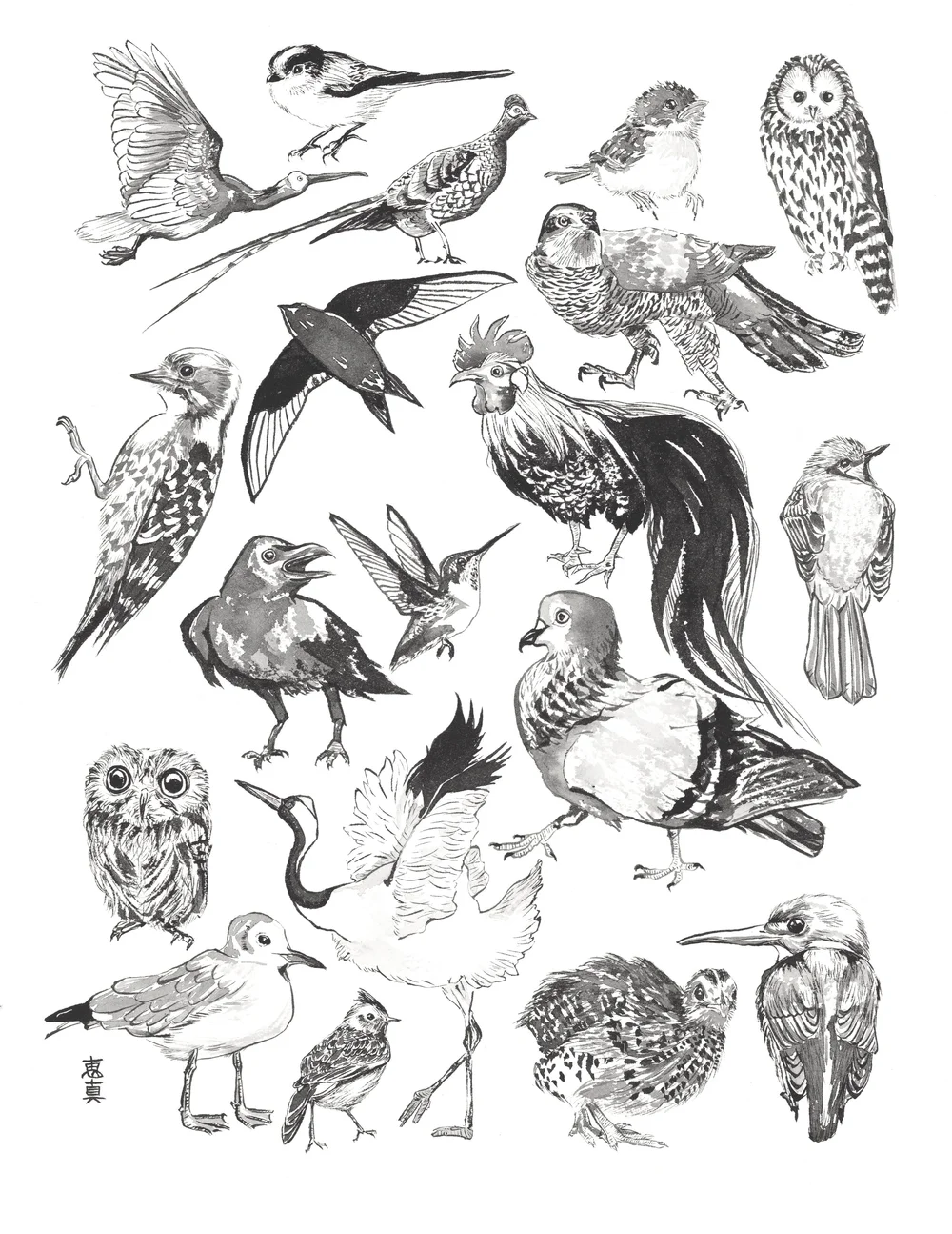 Japanese Bird Paintings