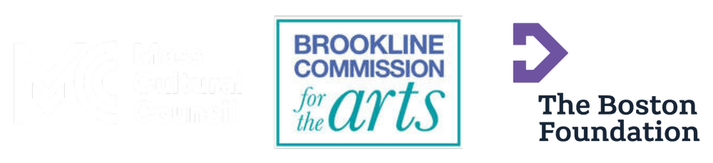The BCS — Boston Chamber Symphony