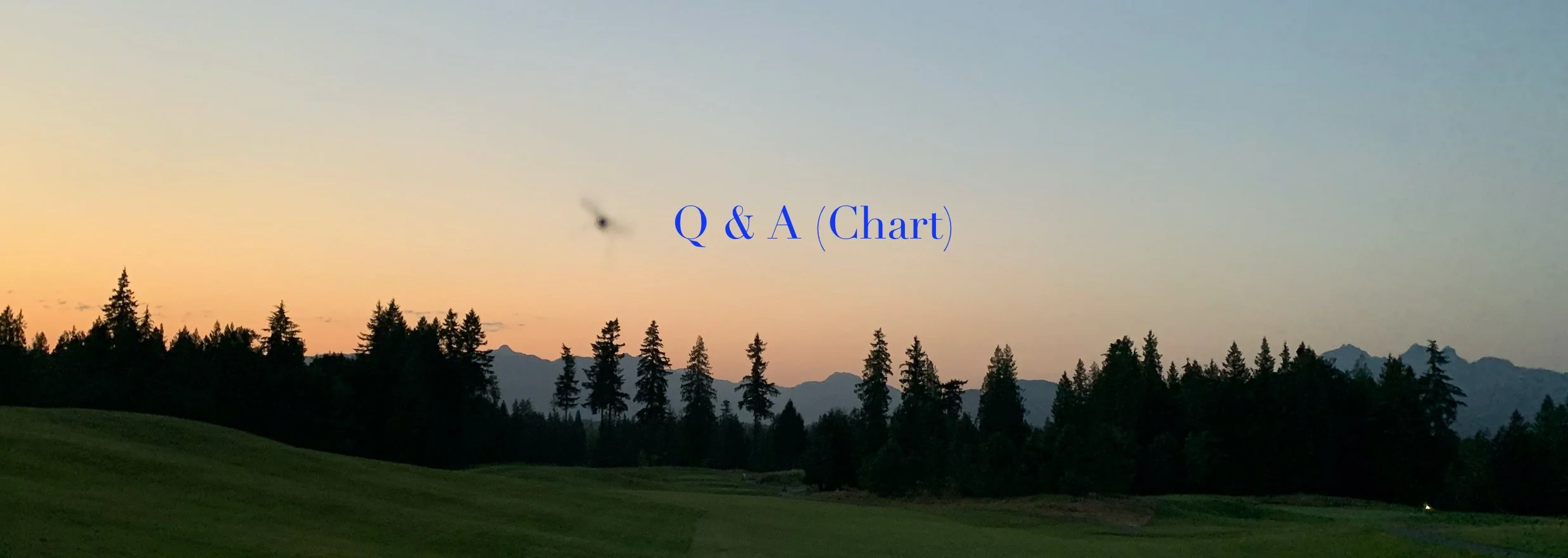 Q & A (Chart) — RYC