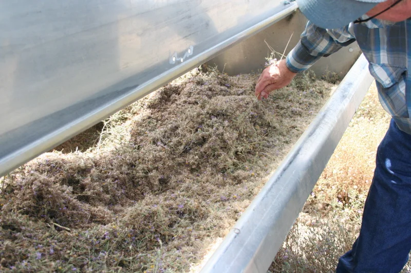 Collecting Light, Wind-dispersed Seed with a Modified Flail-Vac ...