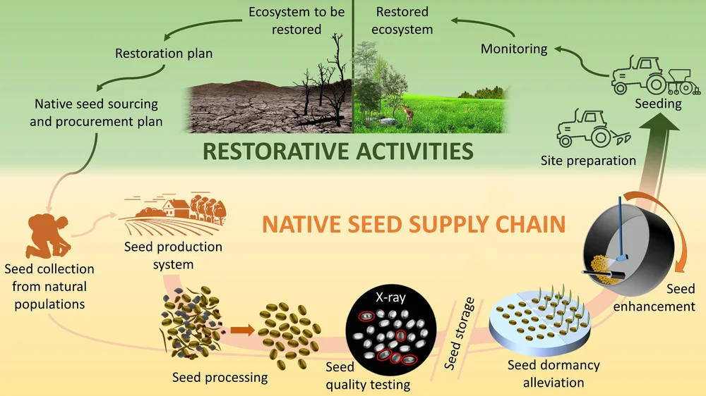 NATIVE SEED STANDARDS — INTERNATIONAL NETWORK FOR SEED-BASED RESTORATION