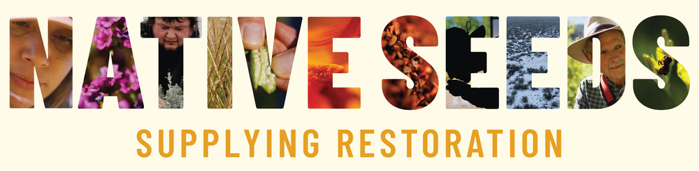 Native Seed Film — INTERNATIONAL NETWORK FOR SEED-BASED RESTORATION