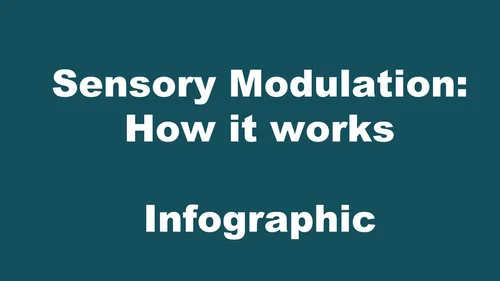 Sensory Modulation Brisbane