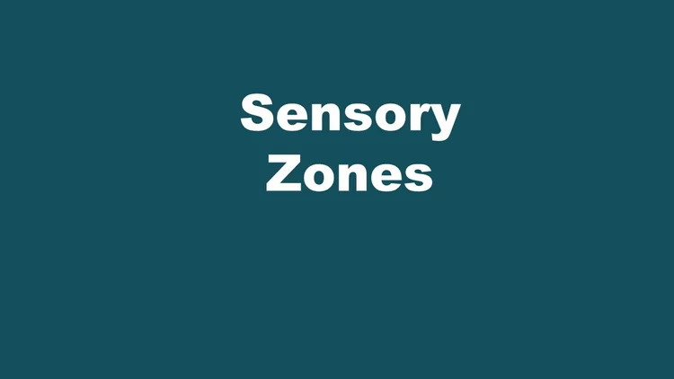 Sensory Modulation Brisbane