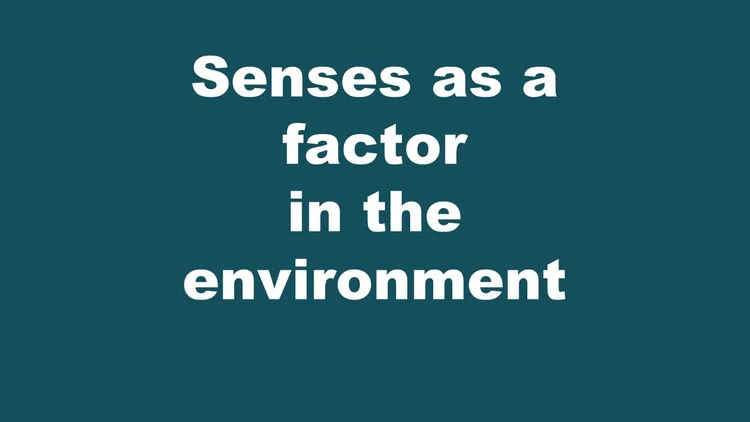 Sensory Modulation Brisbane