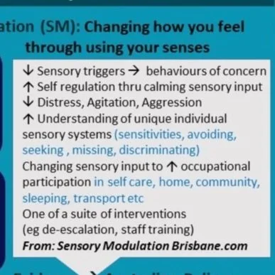 Sensory Modulation Brisbane