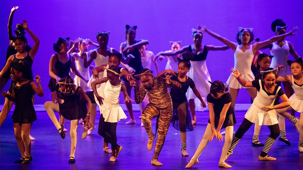 Media Gallery — Ballet & Beyond NYC