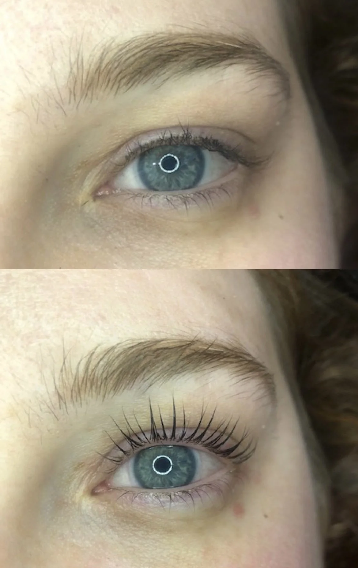 Gallery — Lashspot