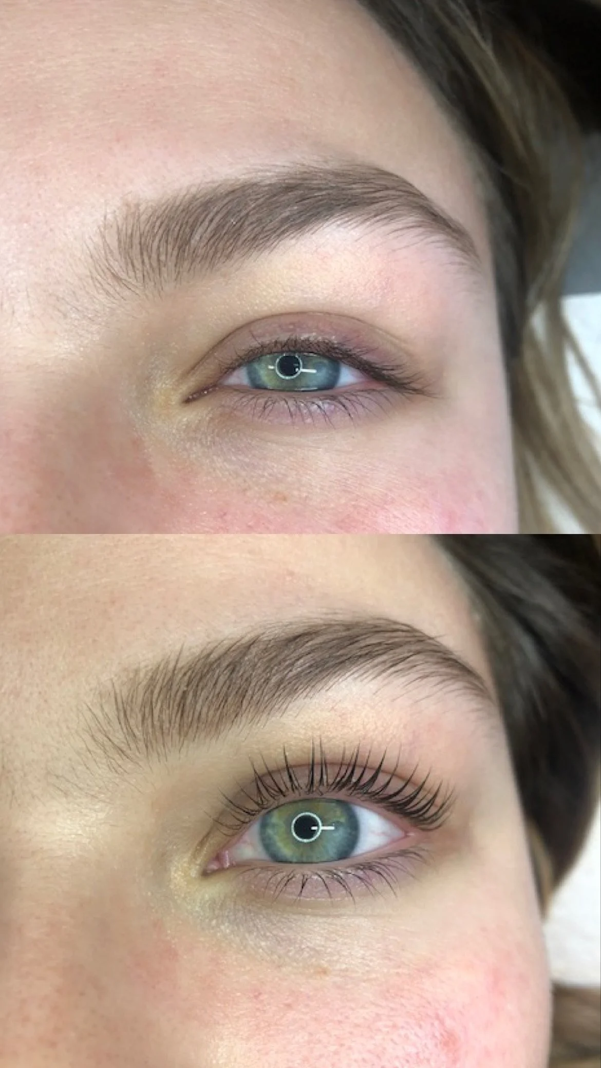 Gallery — Lashspot