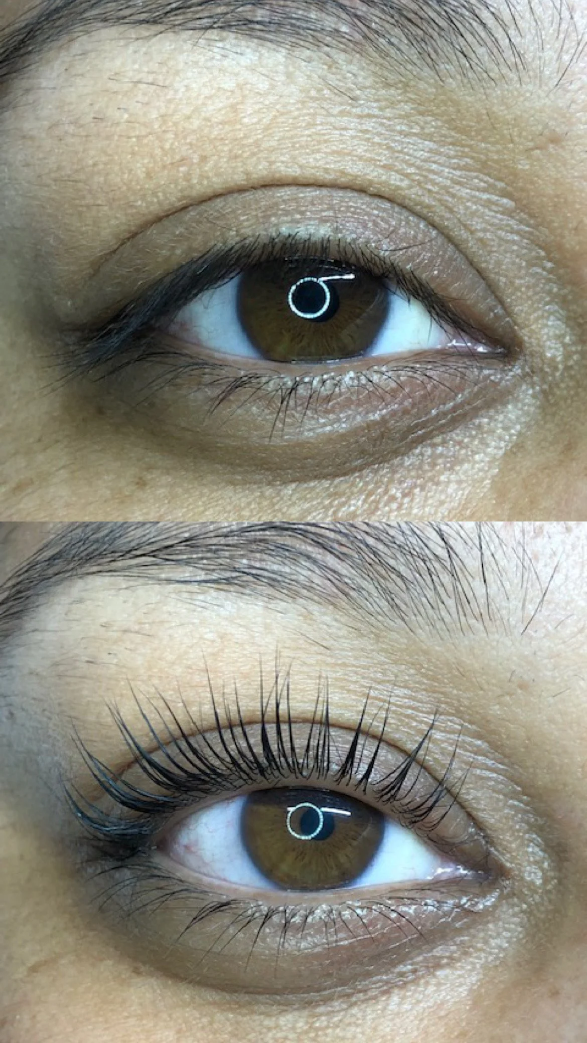 Gallery — Lashspot