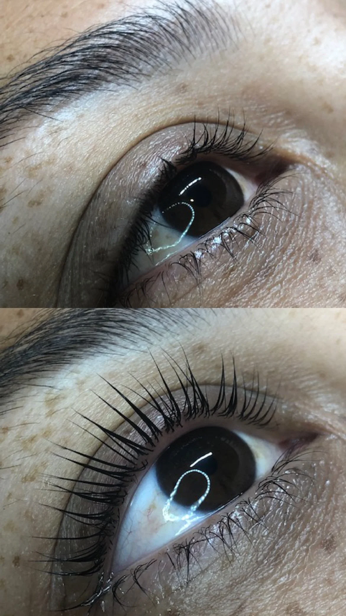 Gallery — Lashspot