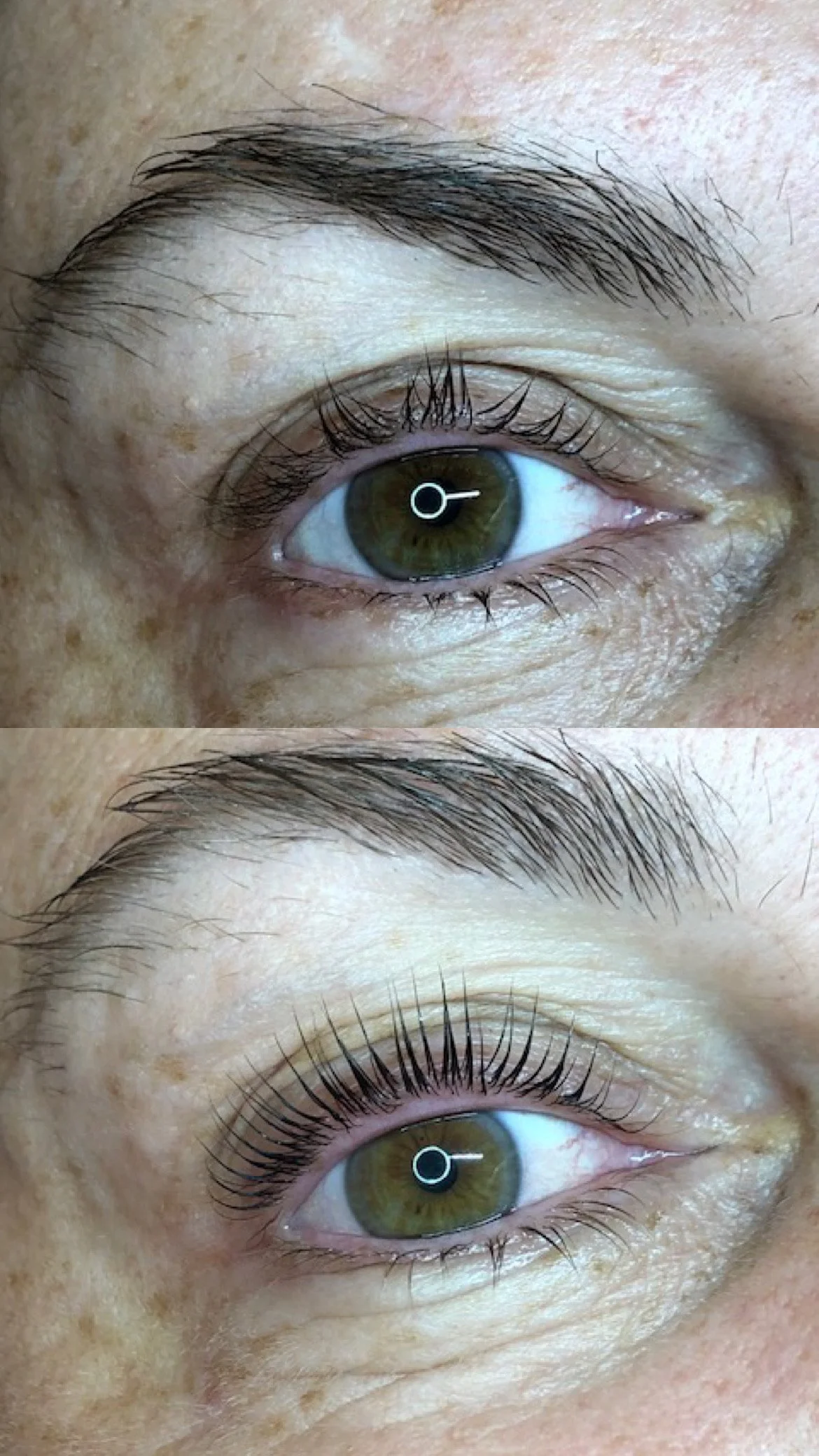 Gallery — Lashspot