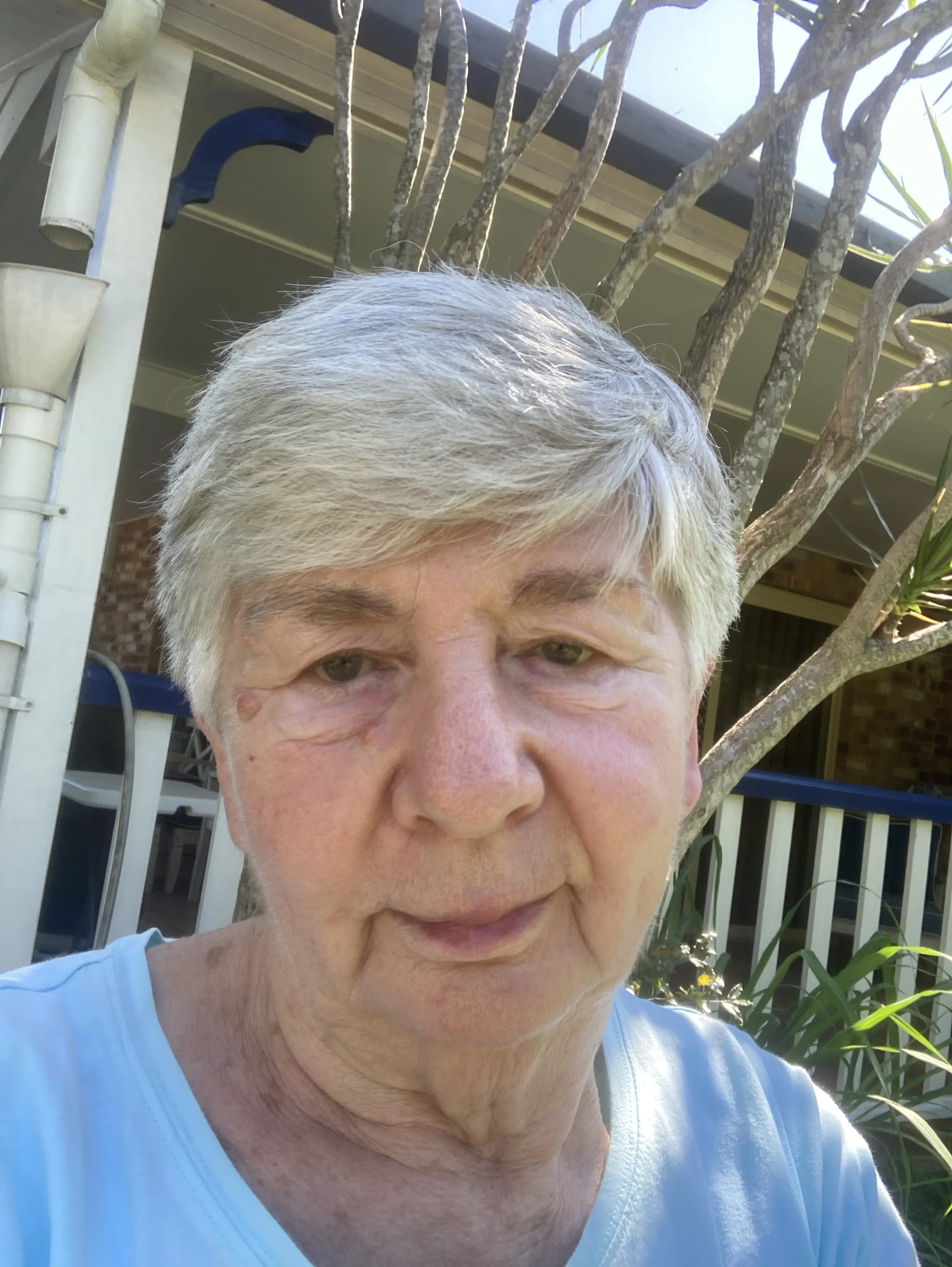 Contact Us — Amateur Beekeepers Australia