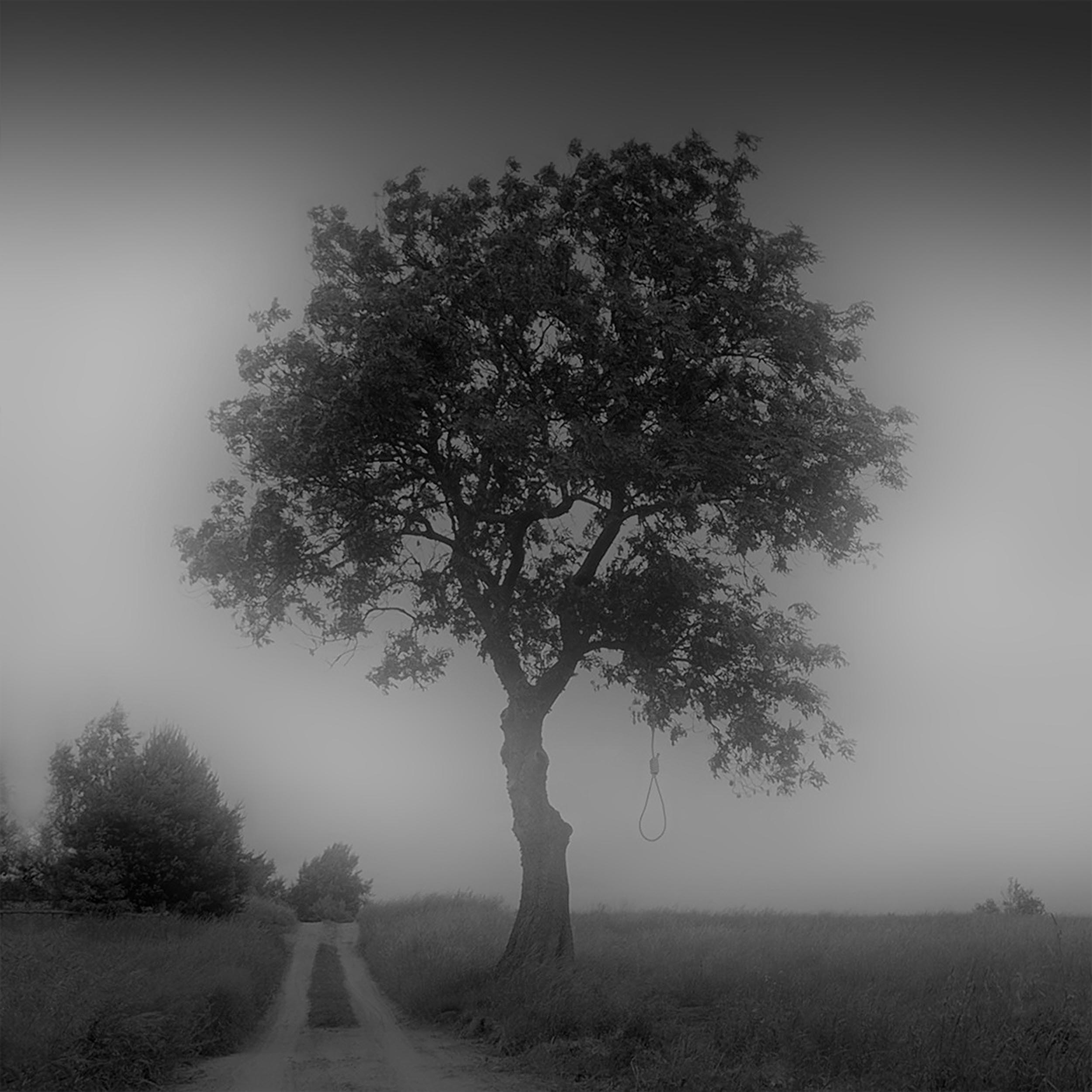 Director Daniel Clements