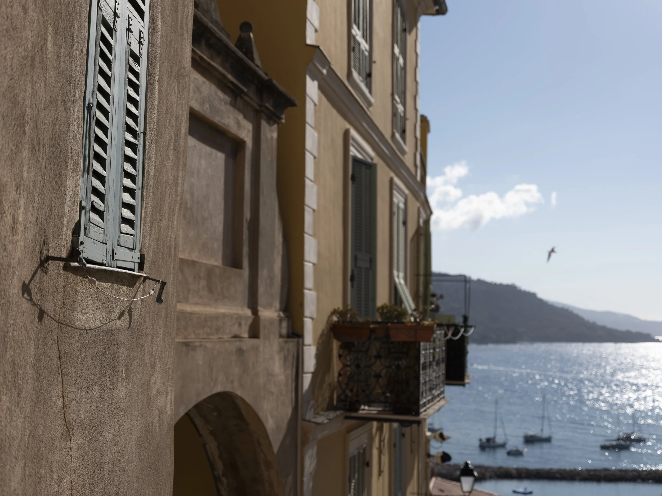 Blog • David Cass, Artist