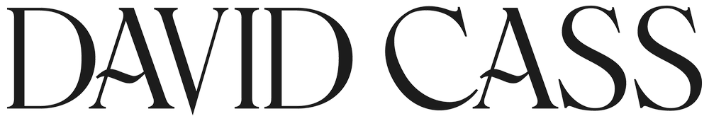 David Cass • Artist