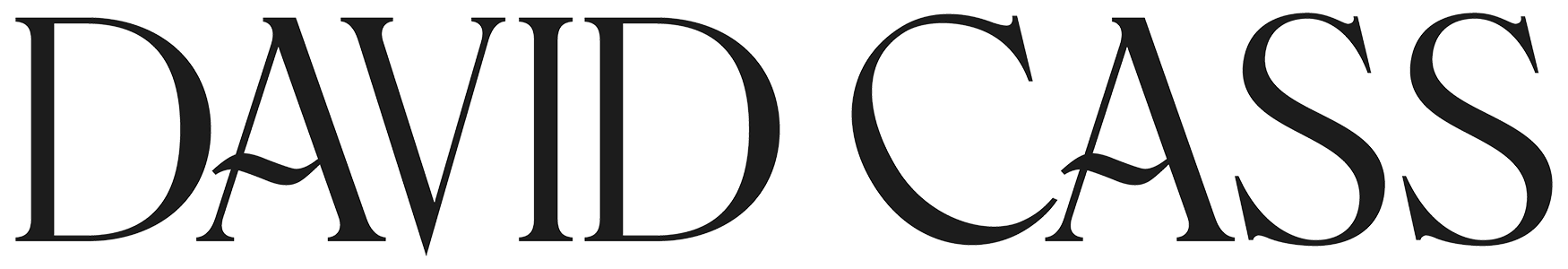 David Cass • Artist