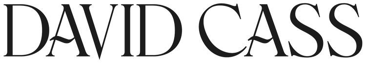 David Cass • Artist