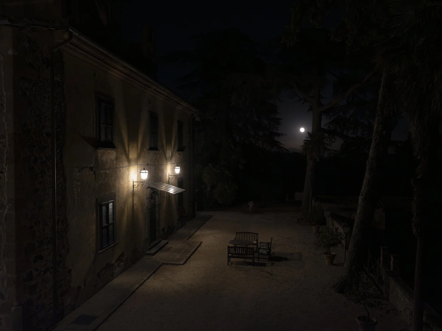 Blog • David Cass, Artist