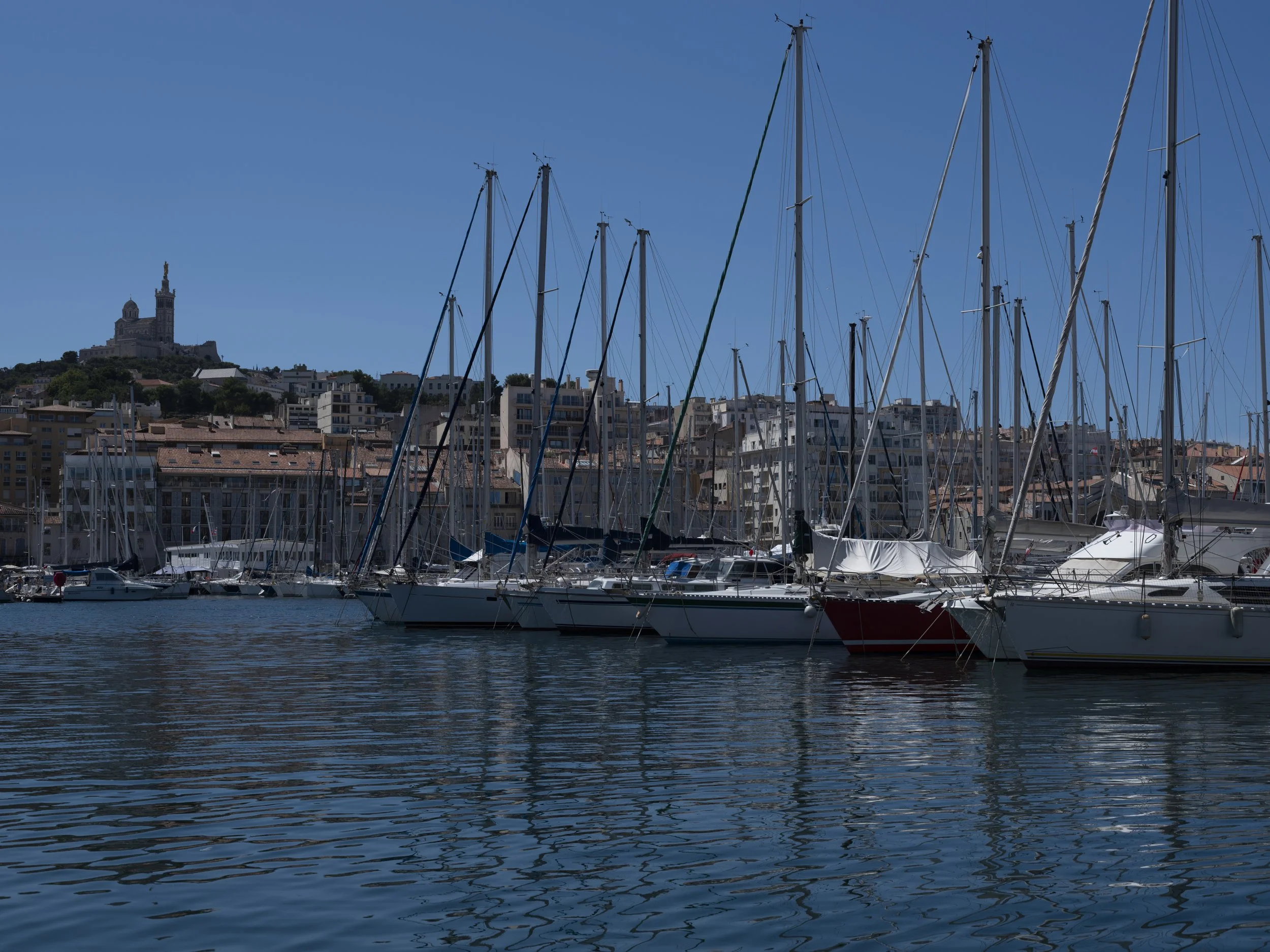 Blog • David Cass, Artist