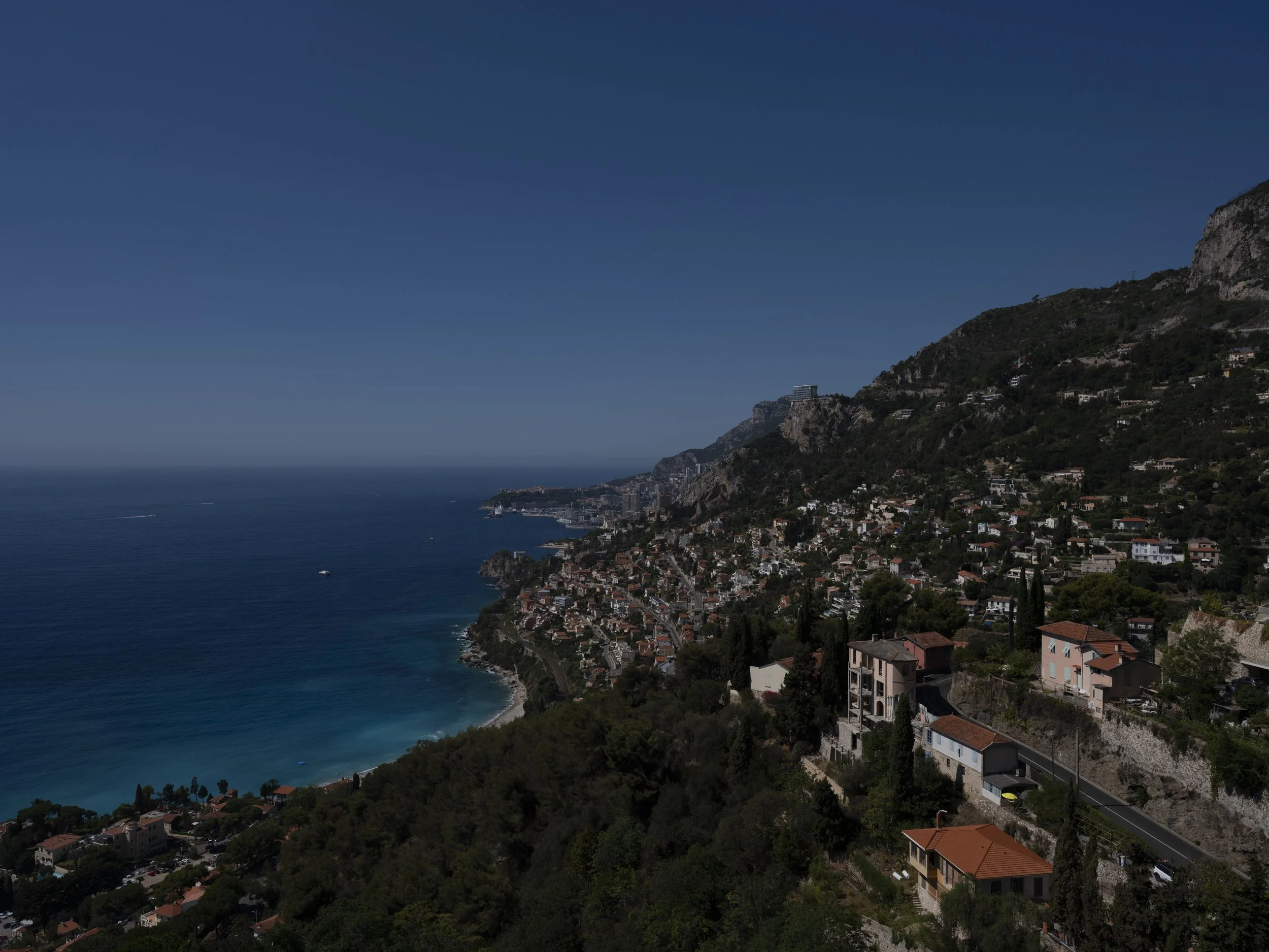 Blog • David Cass, Artist