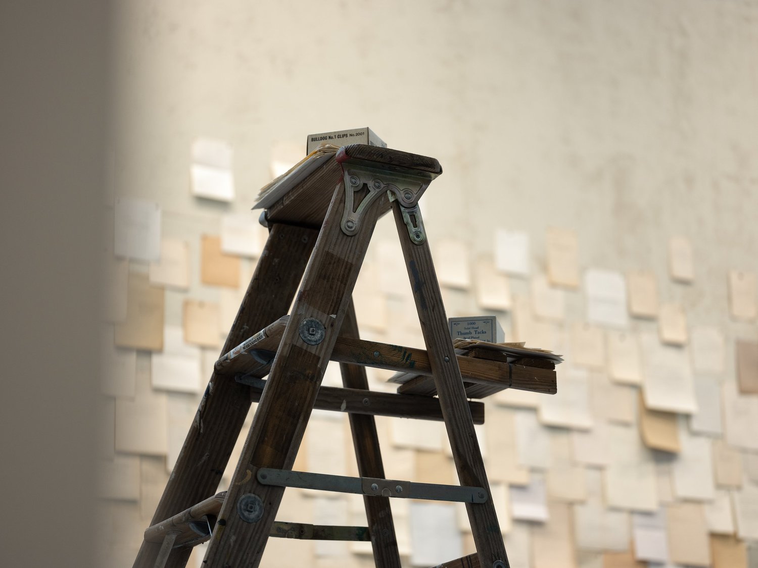 Blog • David Cass, Artist