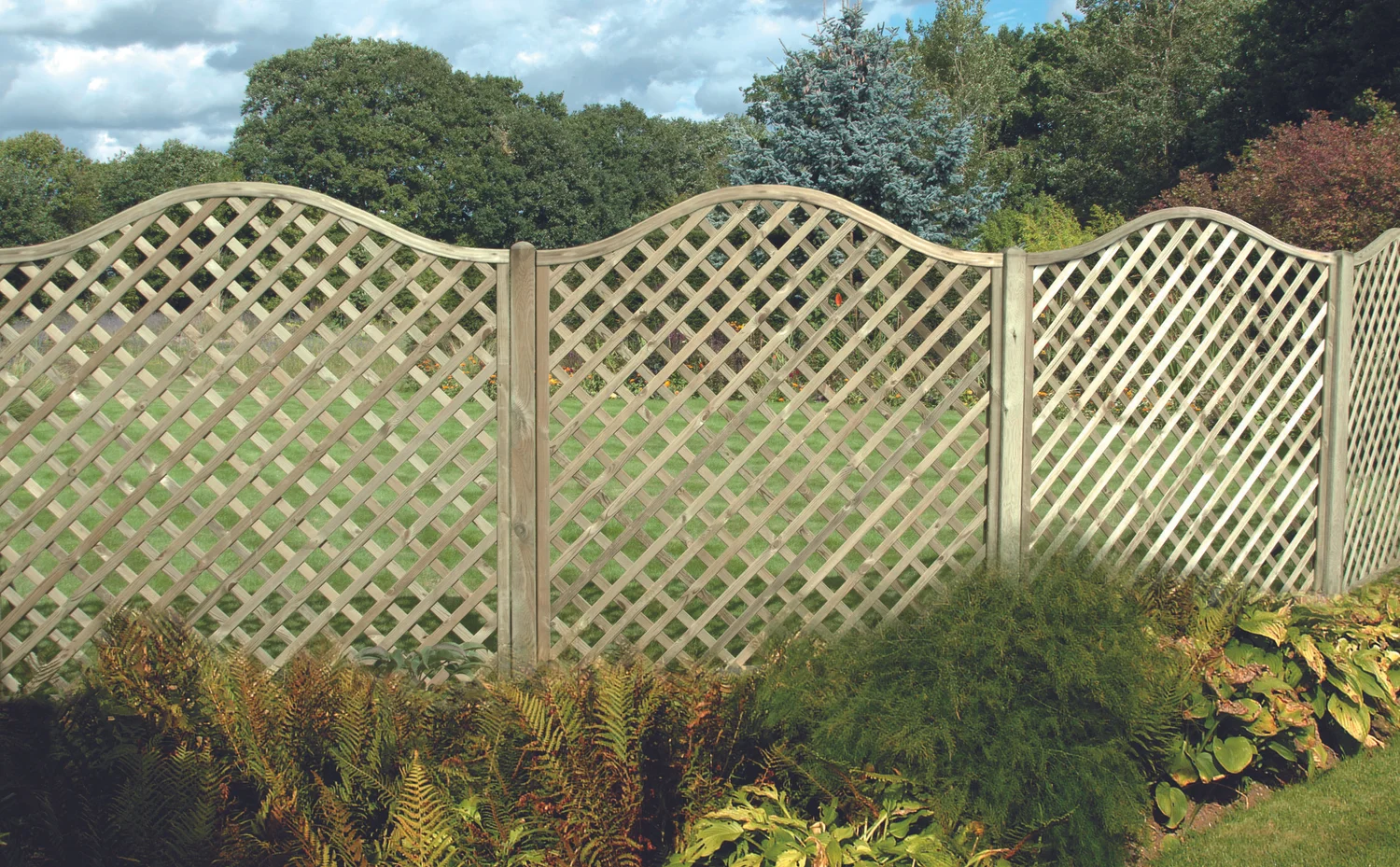 Omega Lattice — On The Fence York
