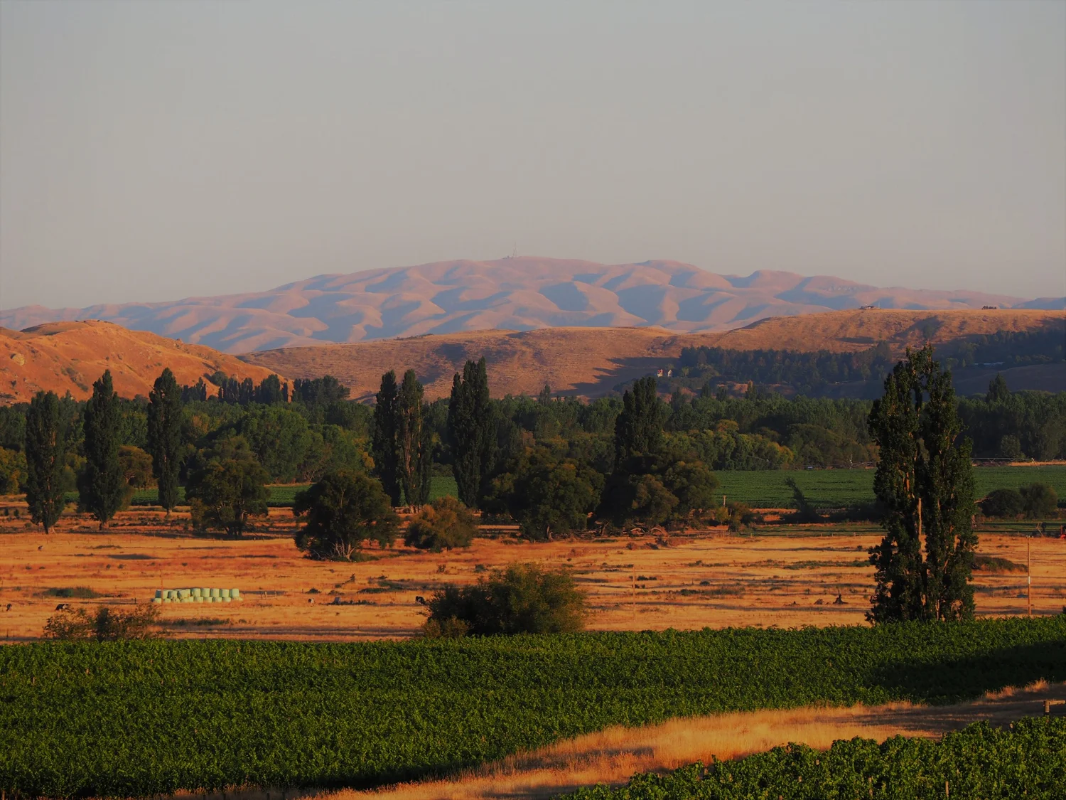 Weddings — Terrace View