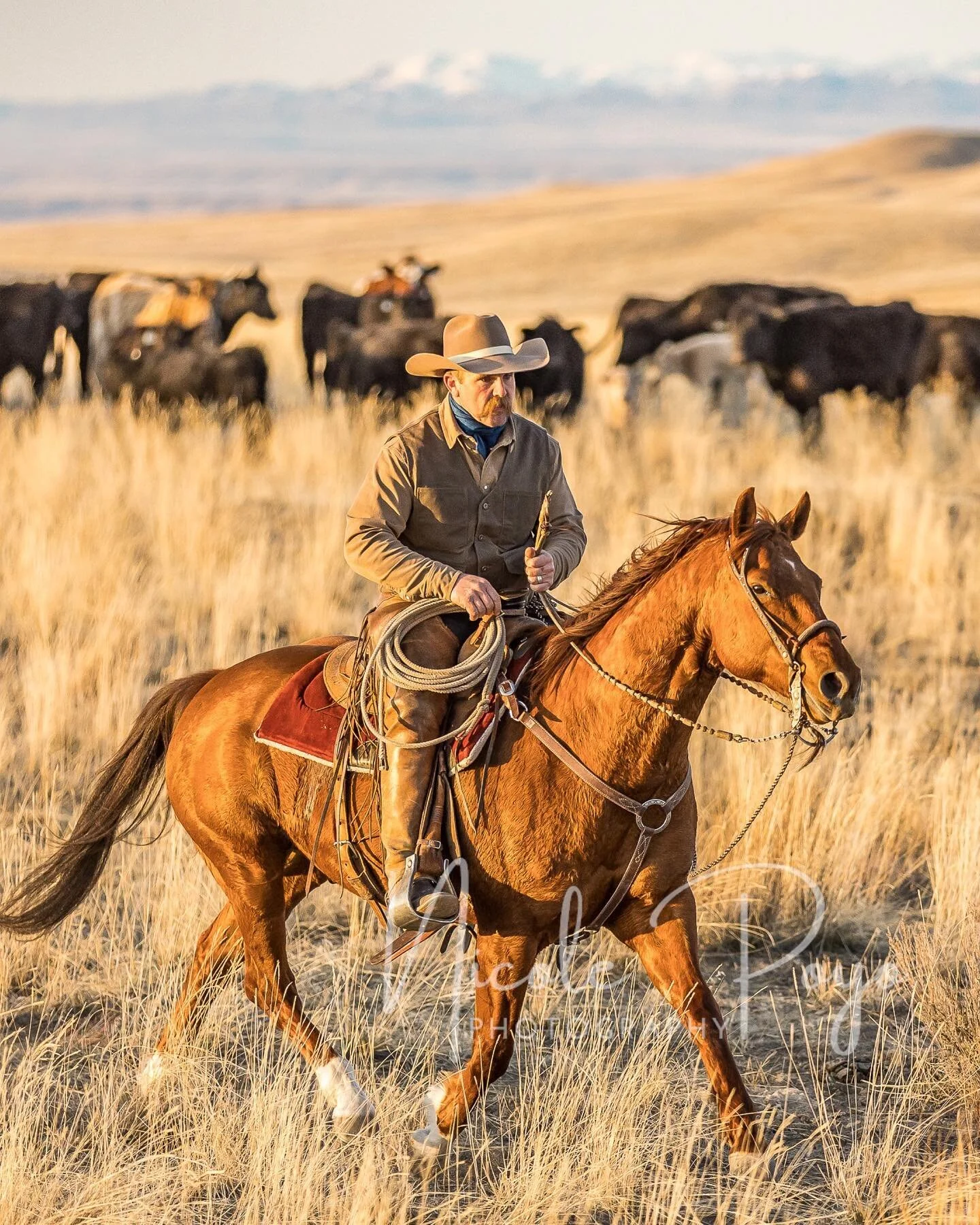 Events — Nicole Poyo Photography