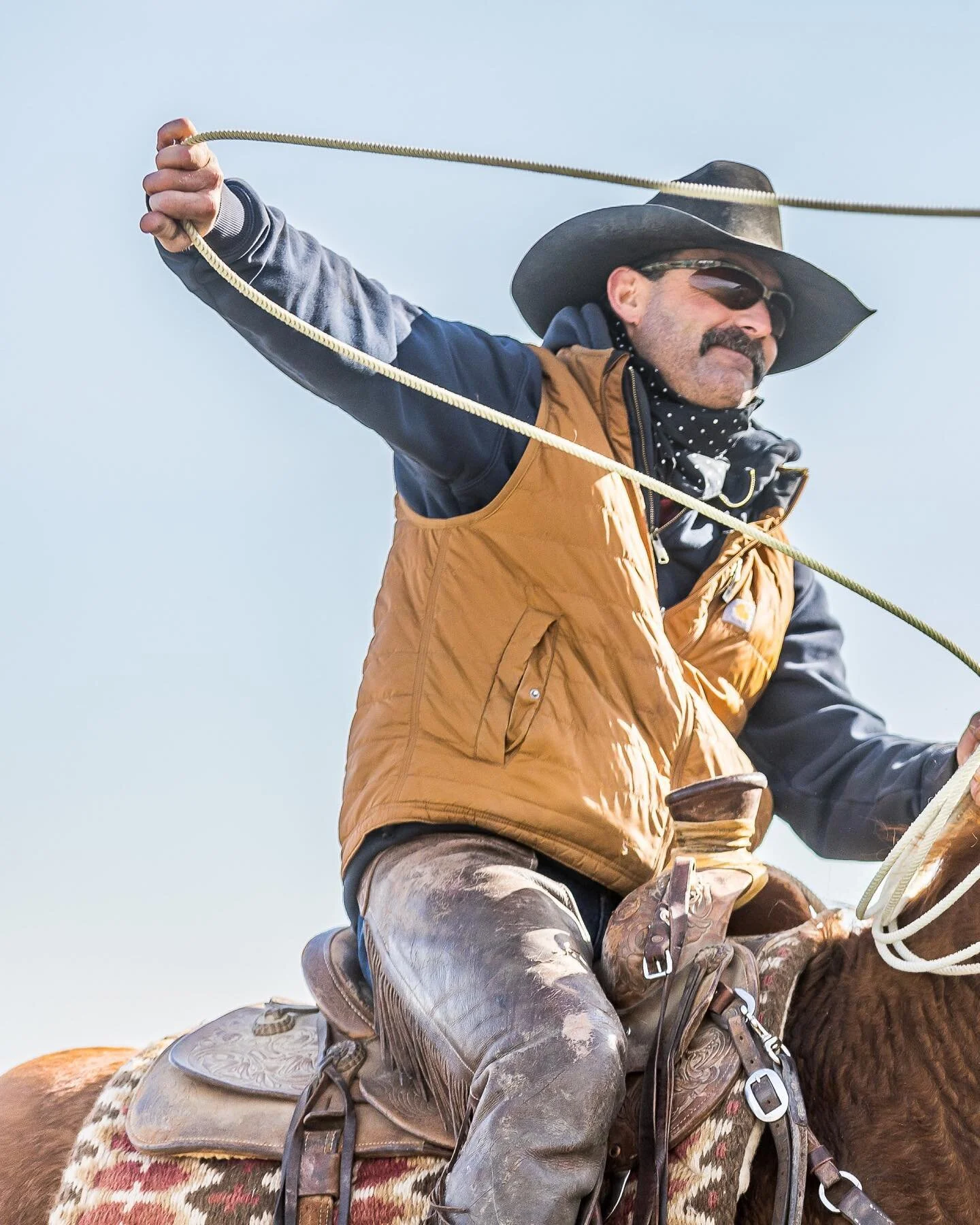 Shop — Nicole Poyo Photography