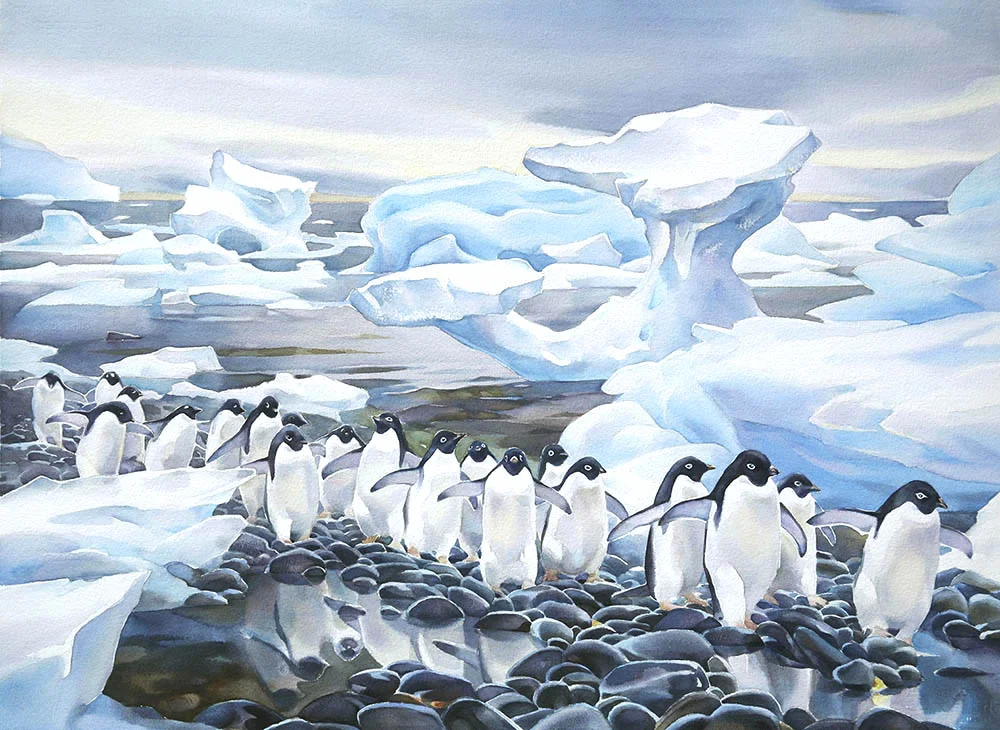 DAVID McEOWN artist journeys