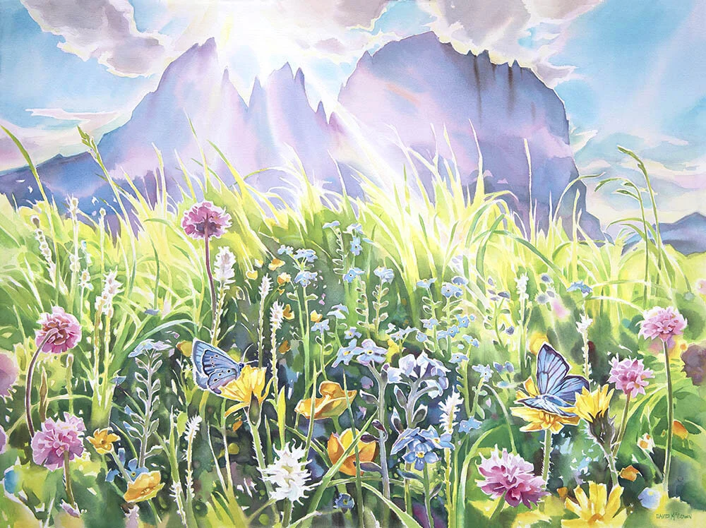 DAVID McEOWN artist journeys