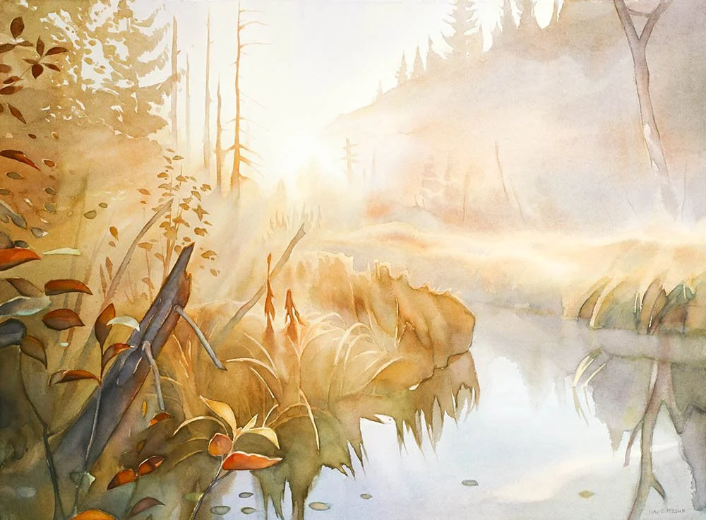 DAVID McEOWN artist journeys