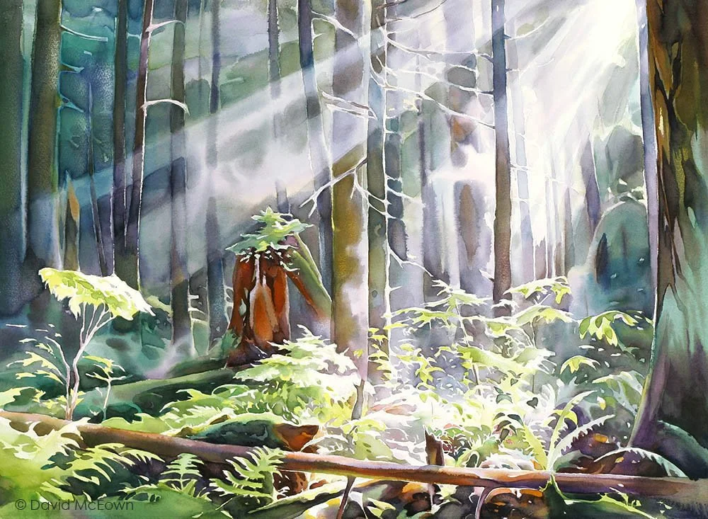 DAVID McEOWN artist journeys