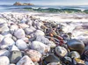 DAVID McEOWN artist journeys