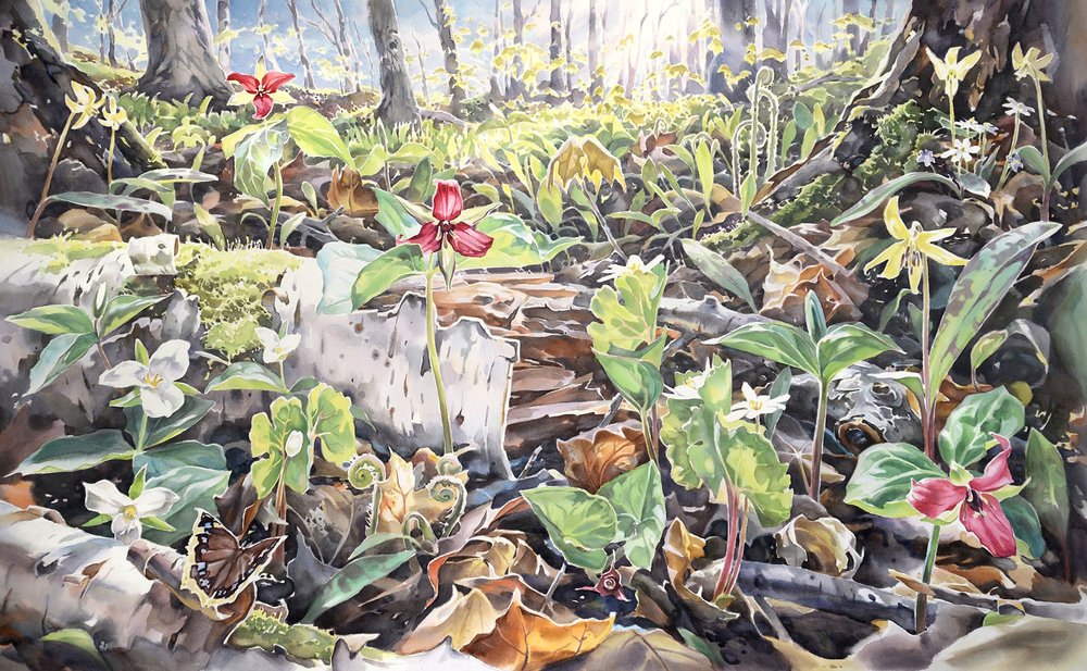 DAVID McEOWN artist journeys