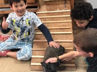 Guest Post: The Role of Personal Inquiries (iTime) in an Agentive ...