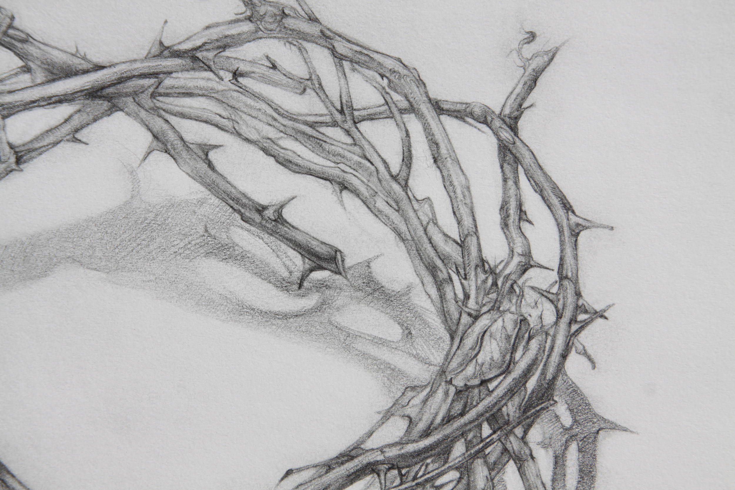 Drawings — Agnus Dei Liturgical Arts