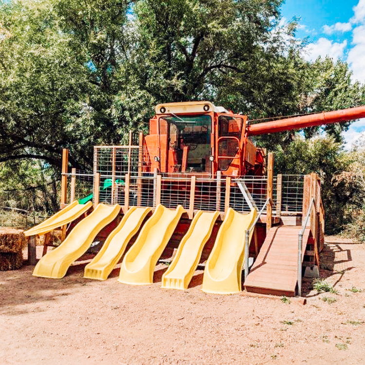 Activities — Long Neck Pumpkin Farm