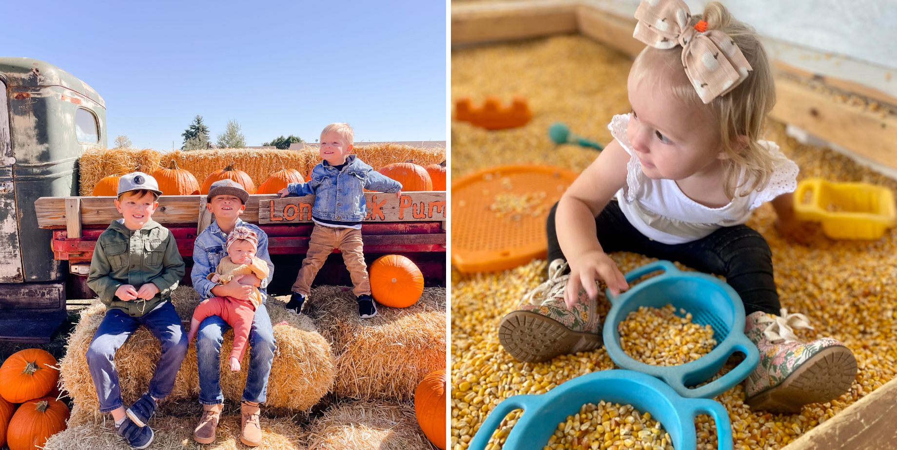 Long Neck Pumpkin Farm