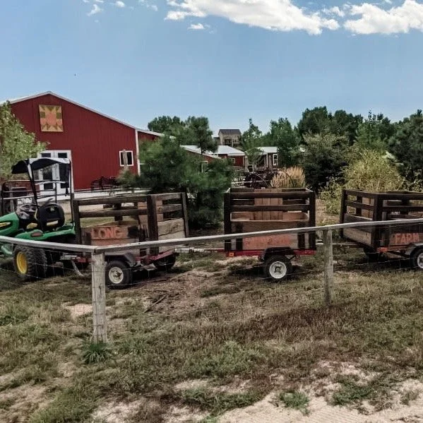 Activities — Long Neck Pumpkin Farm